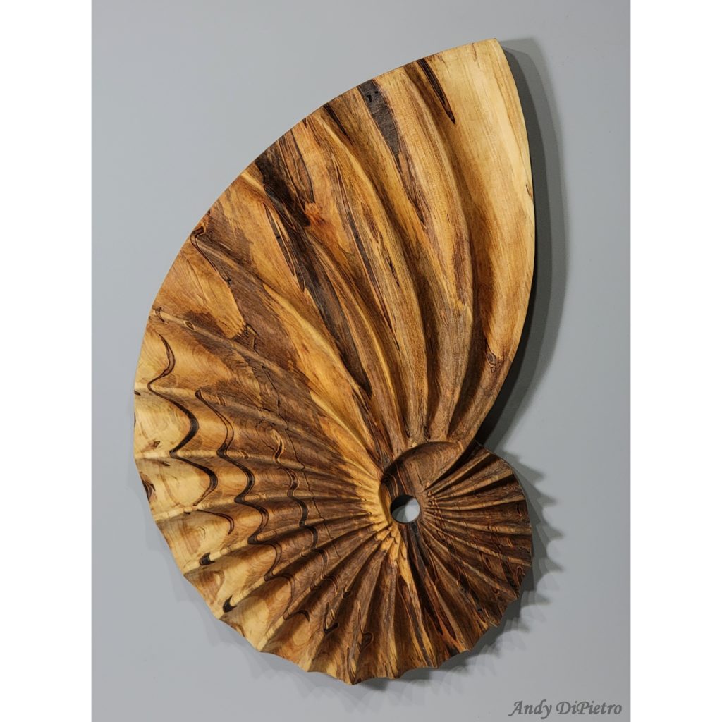 Fibonacci Shell - Andy DiPietro's Sculptures