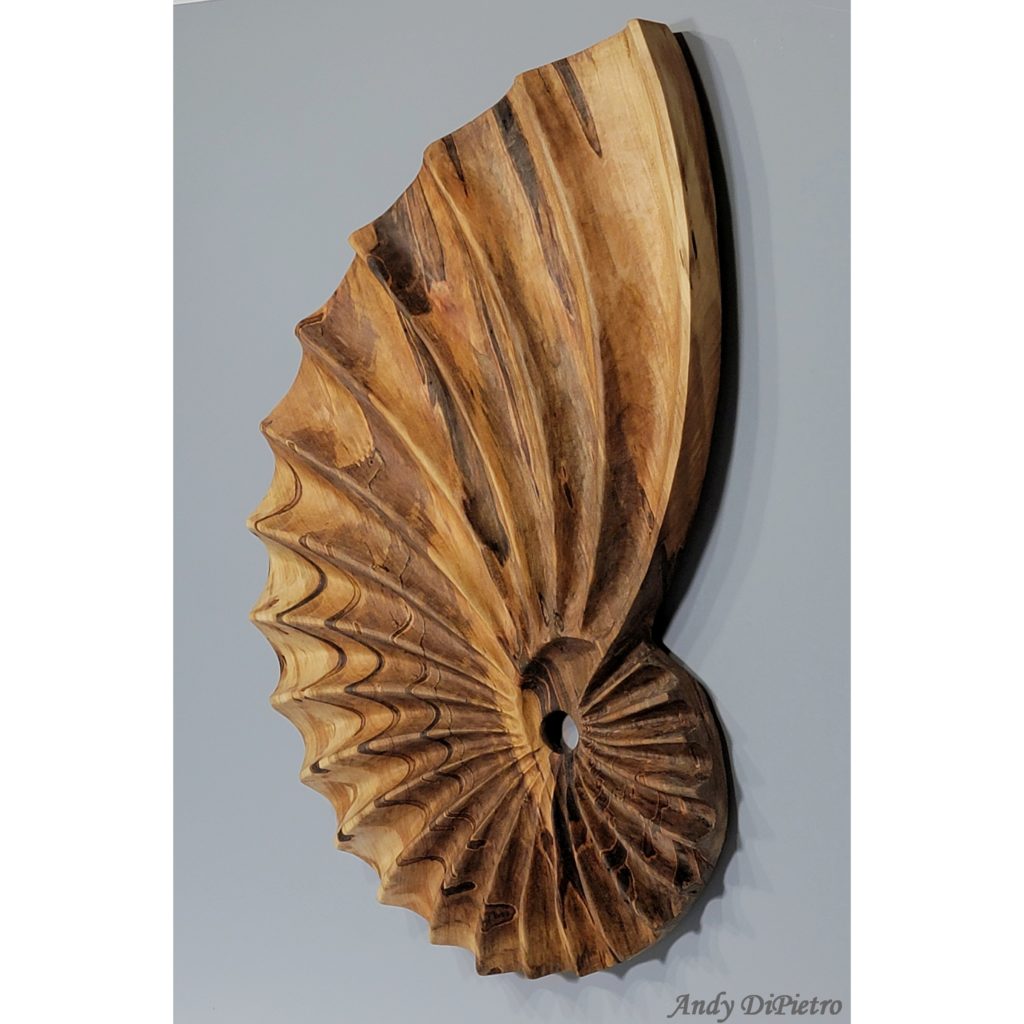 Fibonacci Shell - Andy DiPietro's Sculptures