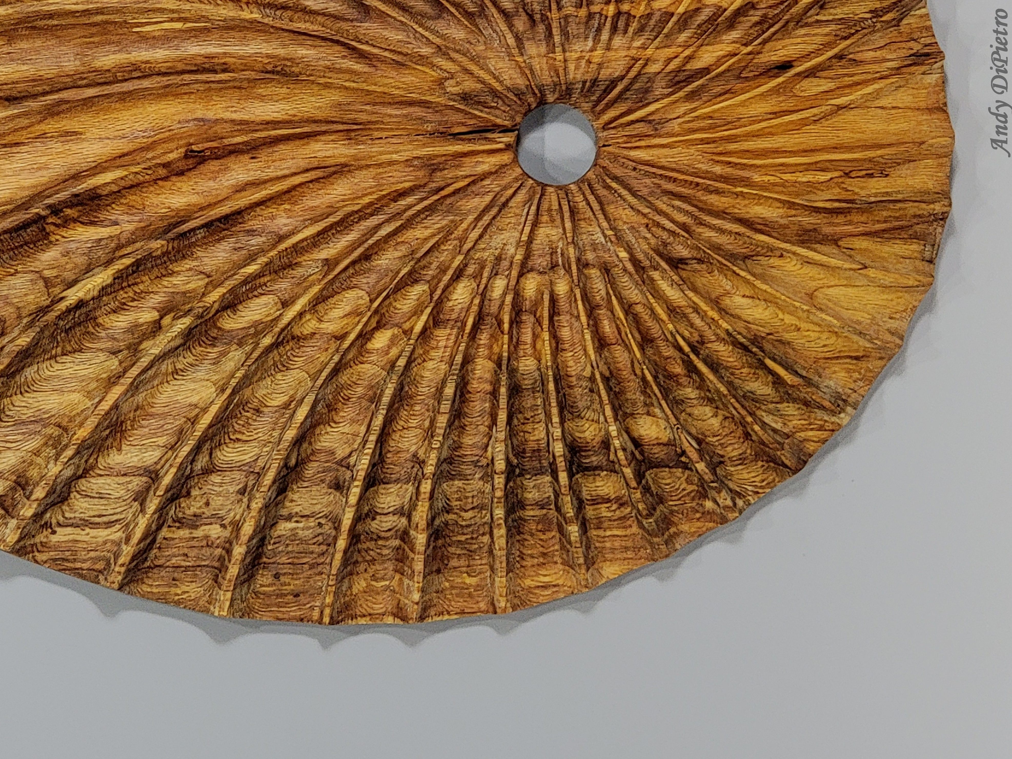 Shell Form 2 - Andy DiPietro's Sculptures