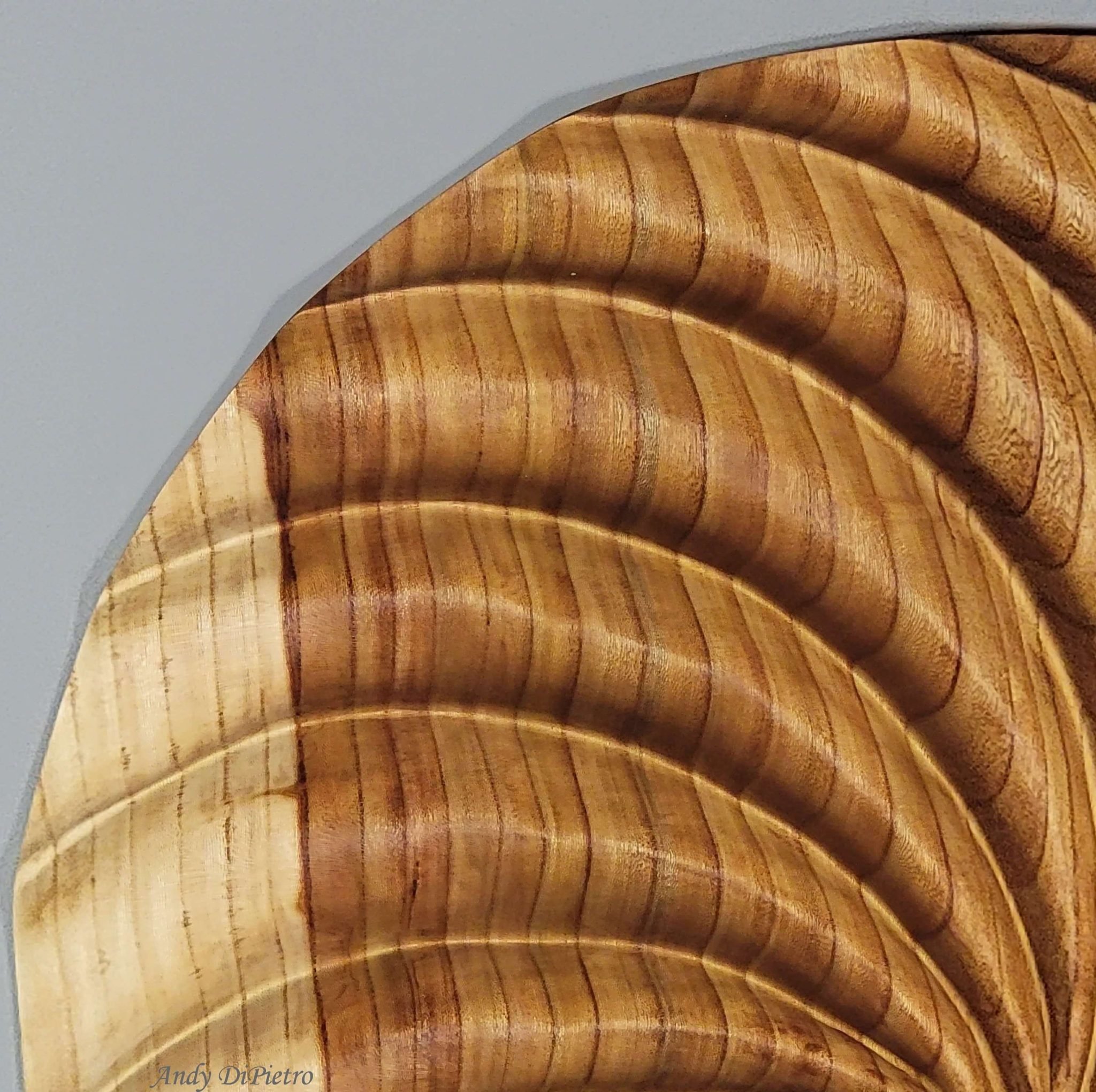 Spiraled Sycamore - Andy DiPietro's Sculptures