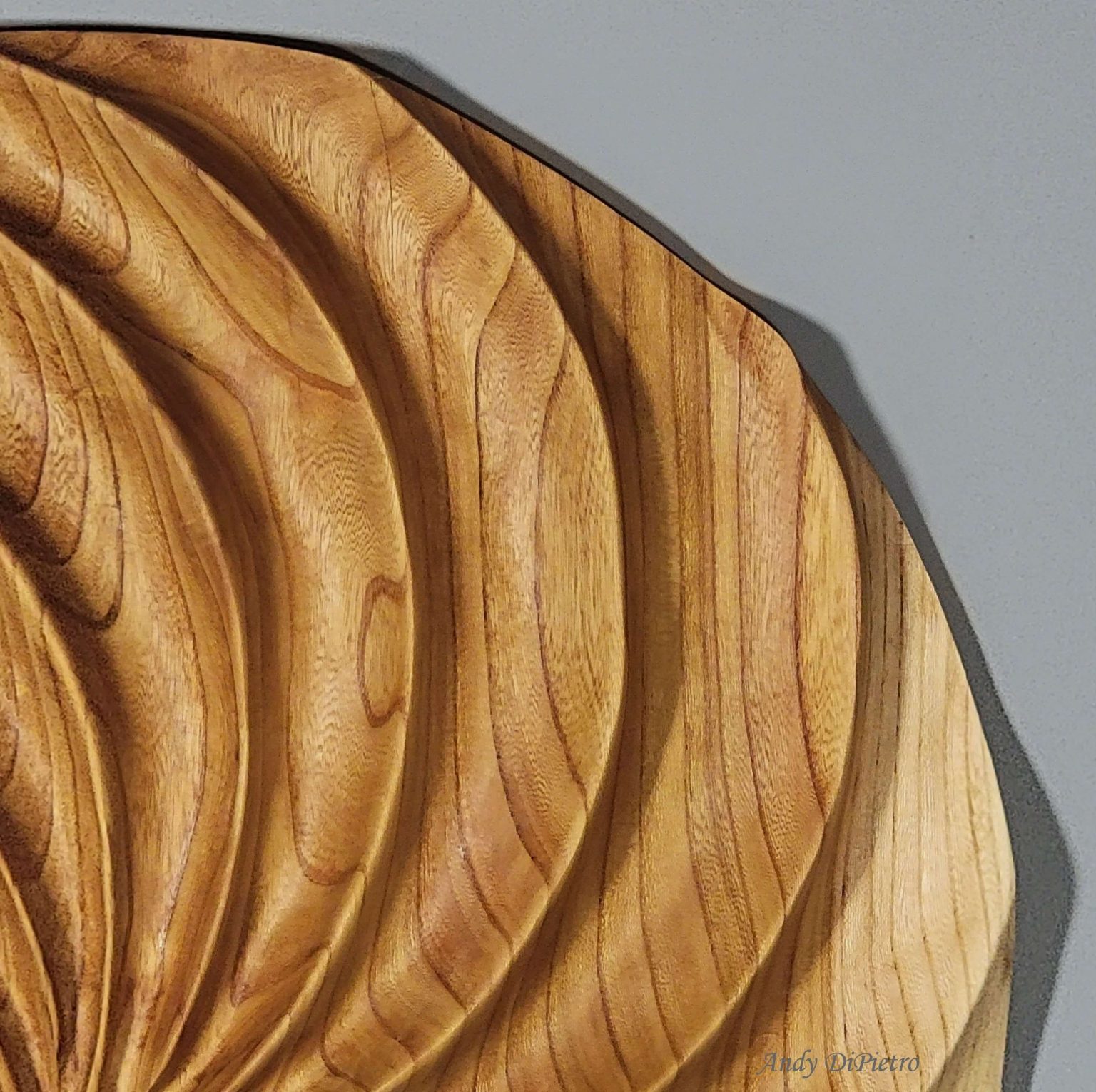 Spiraled Sycamore - Andy DiPietro's Sculptures