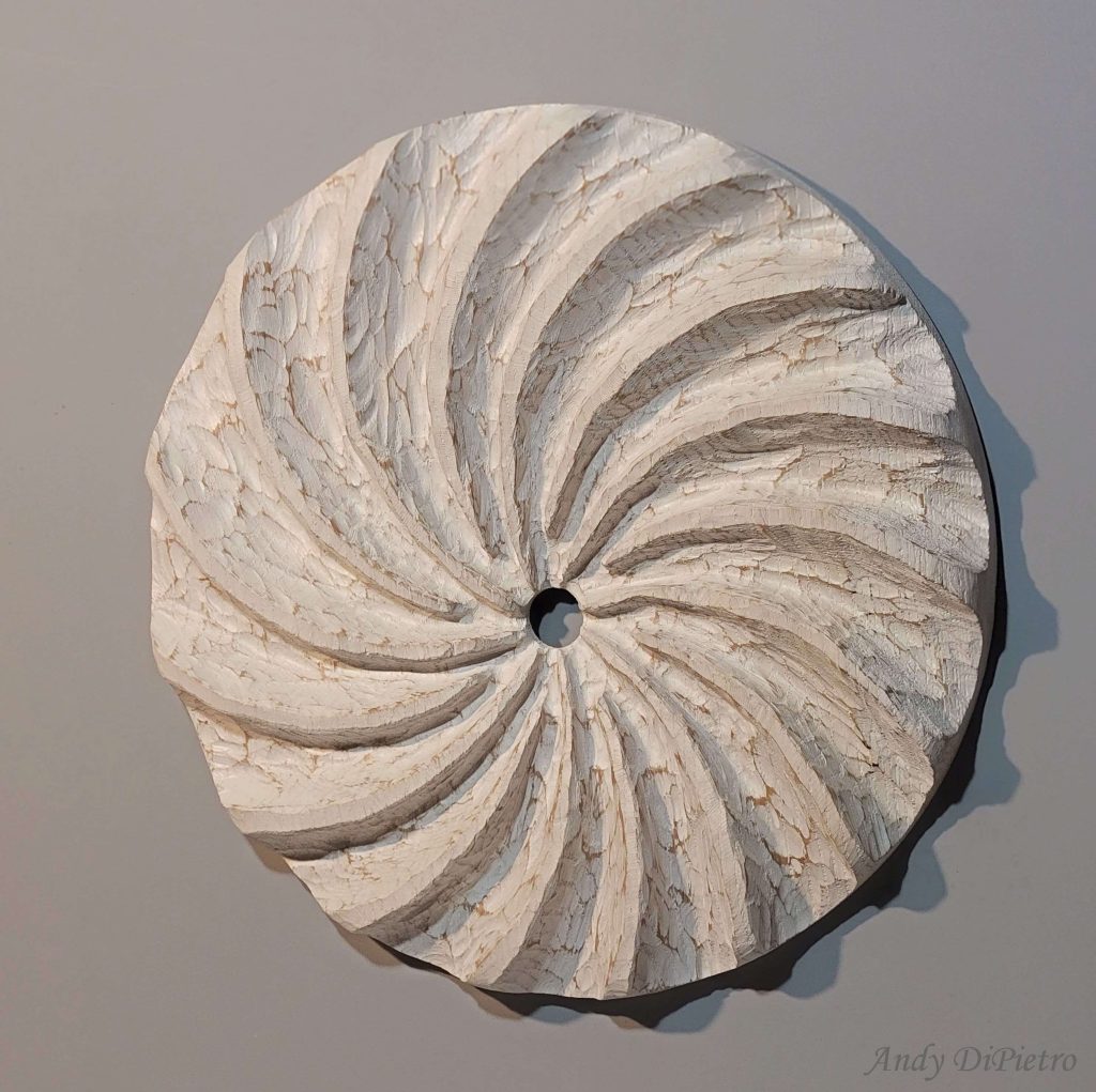 Textured Shell - Andy DiPietro's Sculptures