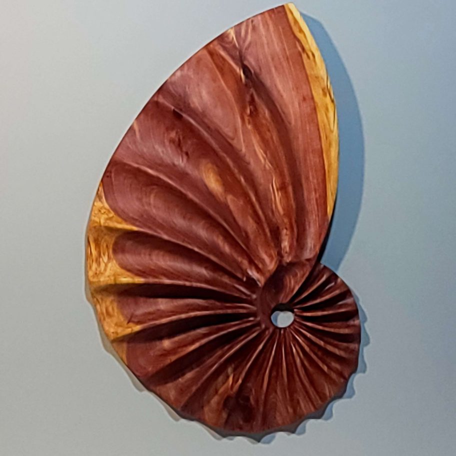 Cedar Fibonacci Shell - Andy DiPietro's Sculptures
